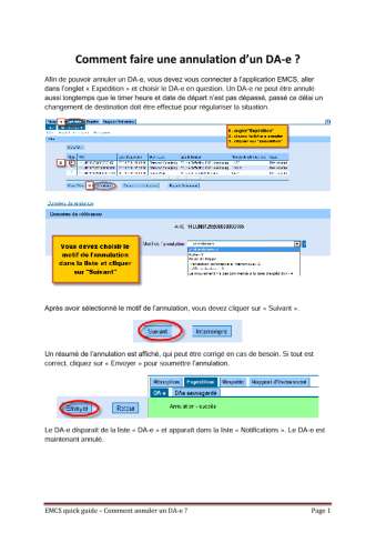 Comment faire une annulation d'un DAe? — Douanes - Luxembourg
