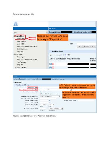 Comment encoder un DAe? — Douanes - Luxembourg